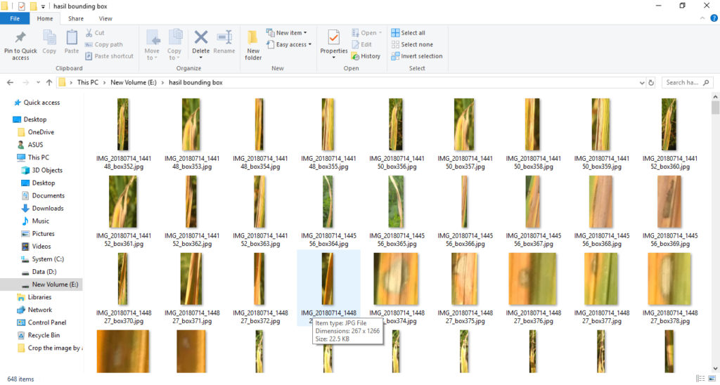 Belajar Python dan OpenCV- Crop the image by annotation XML - Softscients