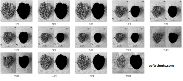 Implementasi Deep Machine Learning untuk Segmentasi Gambar - Softscients