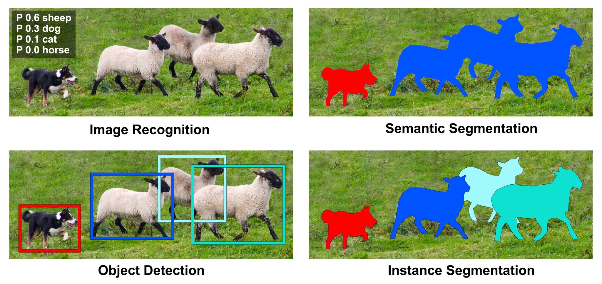 StarDist a deep learning based 2D and 3D object detection - Softscients
